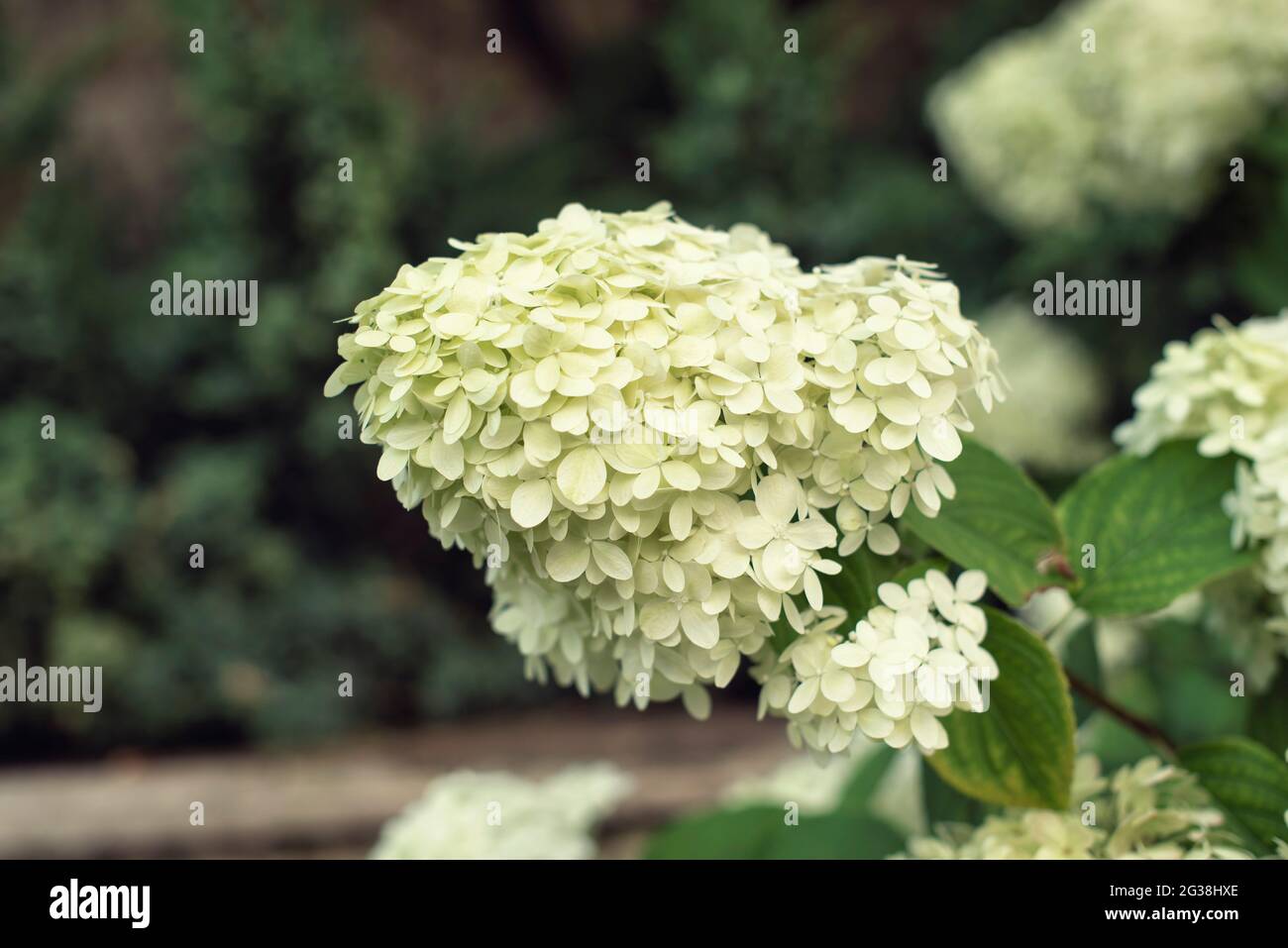 Wild landscapes in Europe Stock Photo - Alamy