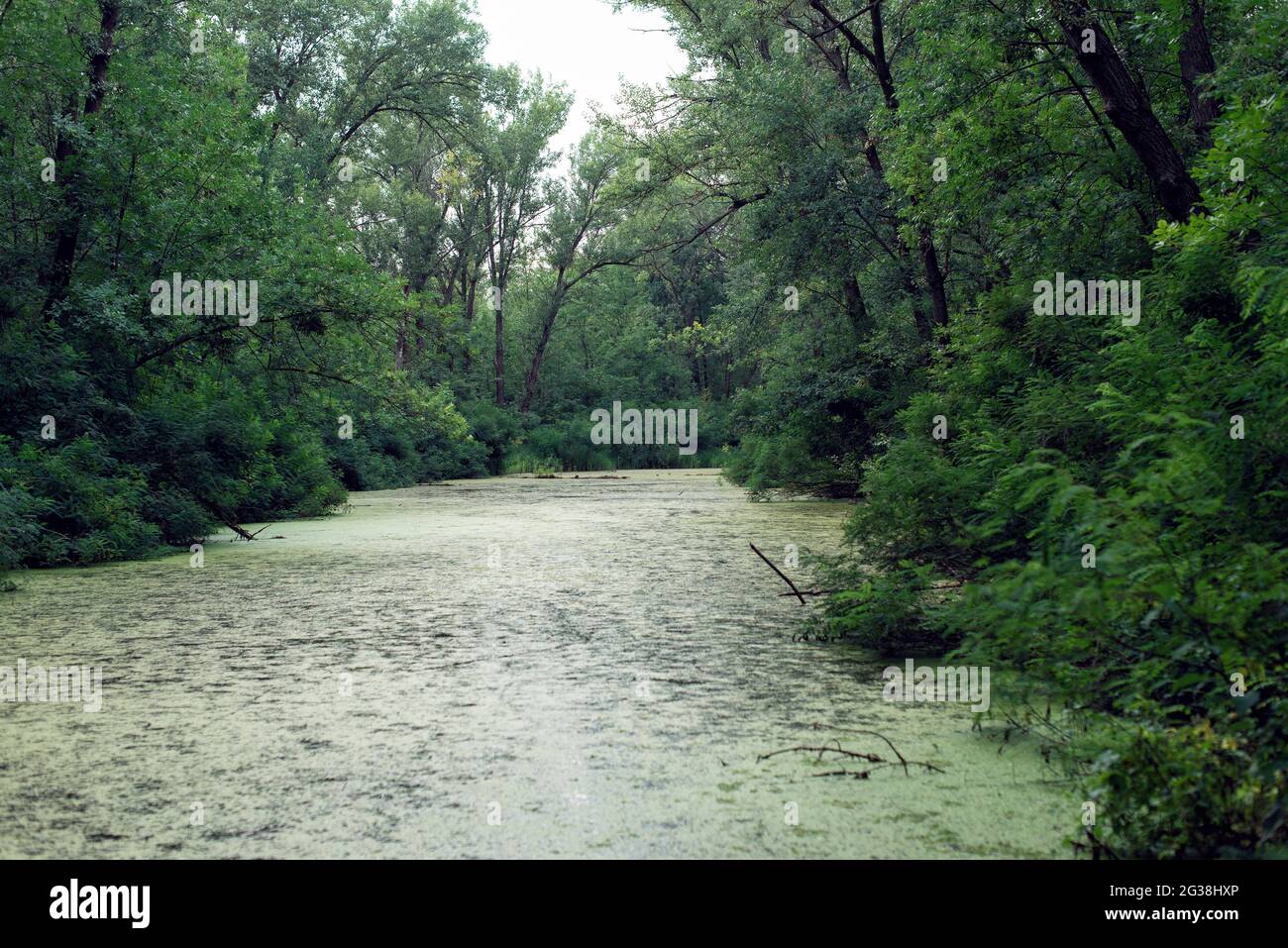 Wild landscapes in Europe Stock Photo - Alamy