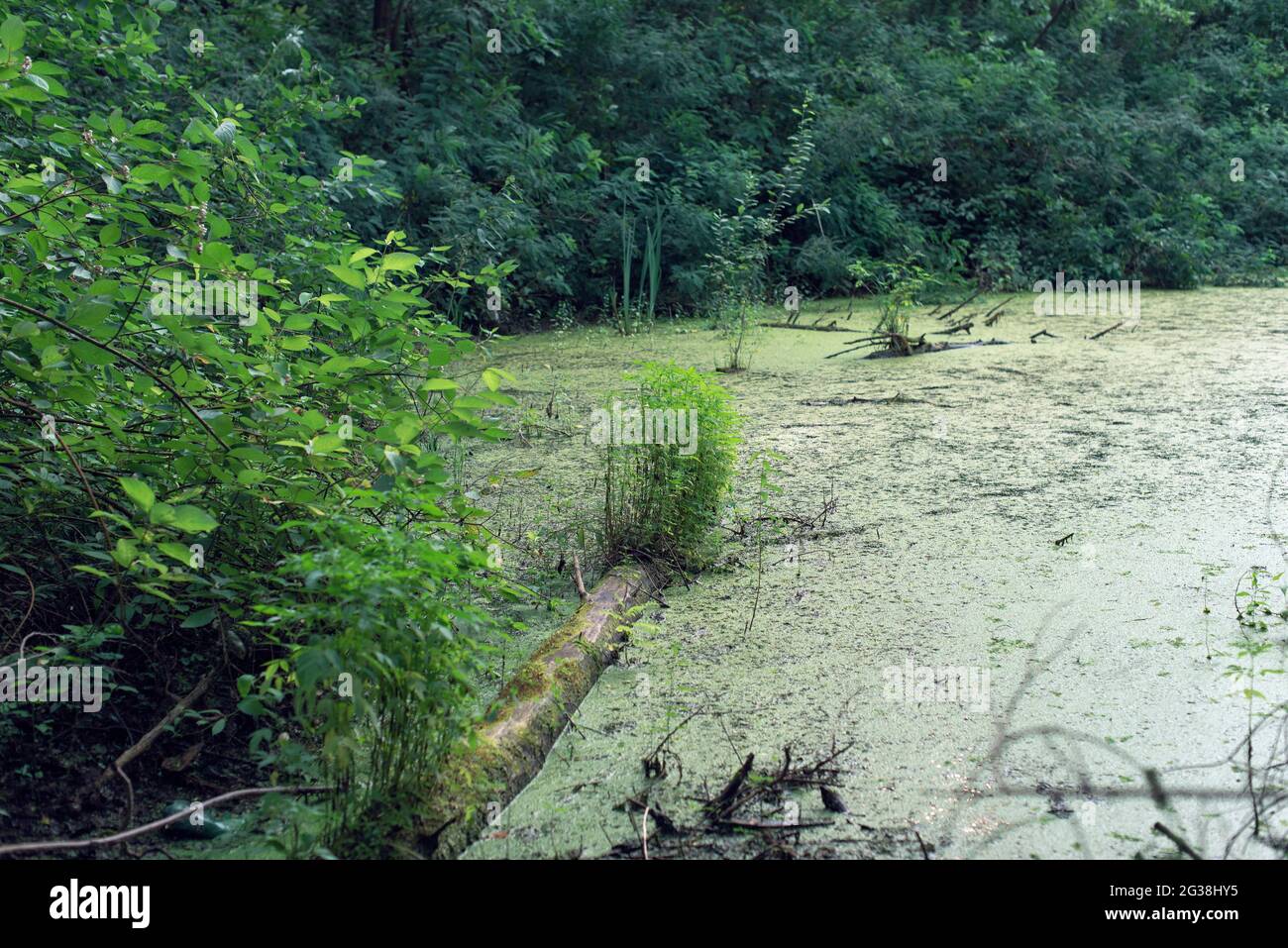 Wild landscapes in Europe Stock Photo - Alamy