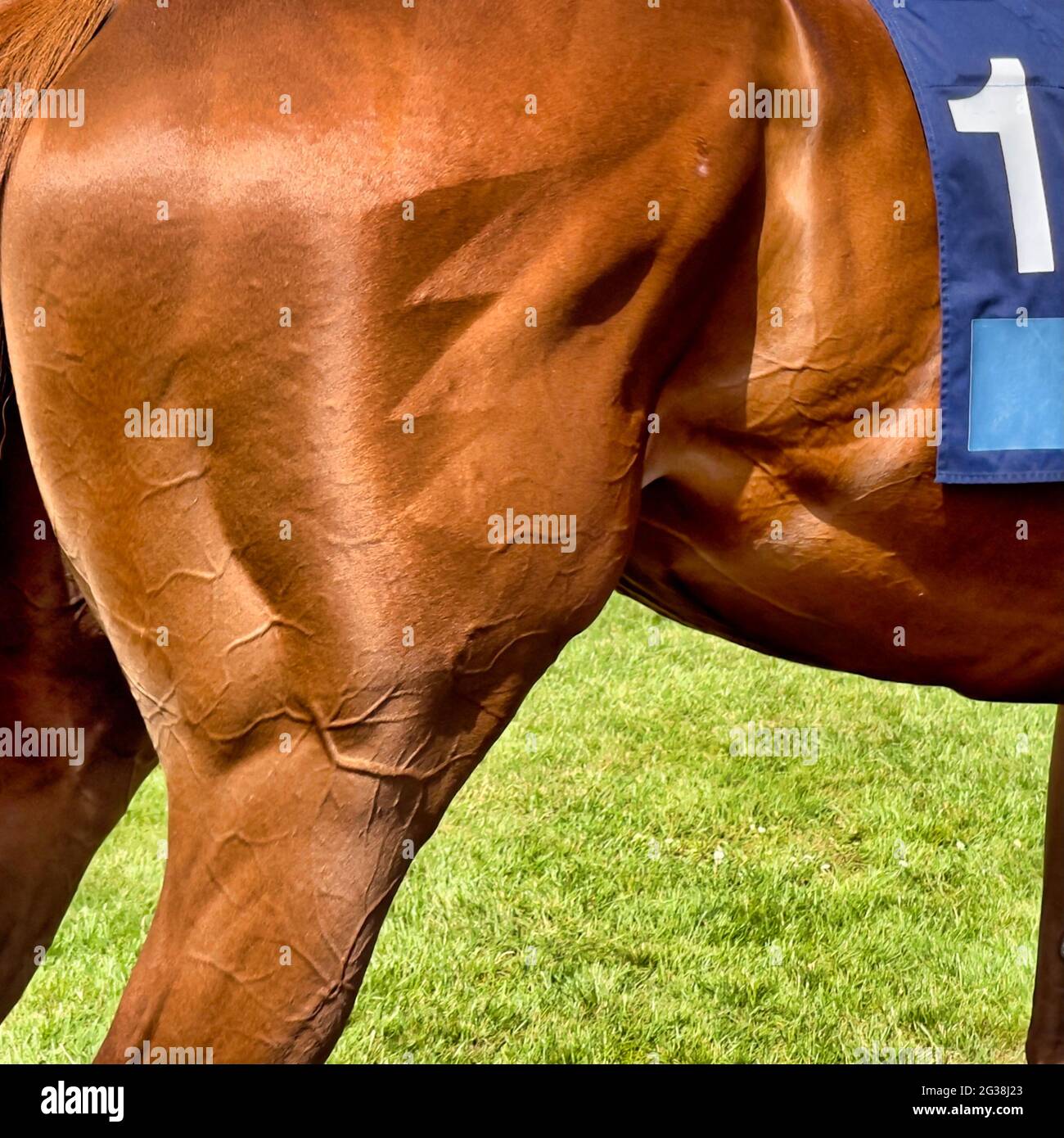 Strength with power hi-res stock photography and images - Alamy