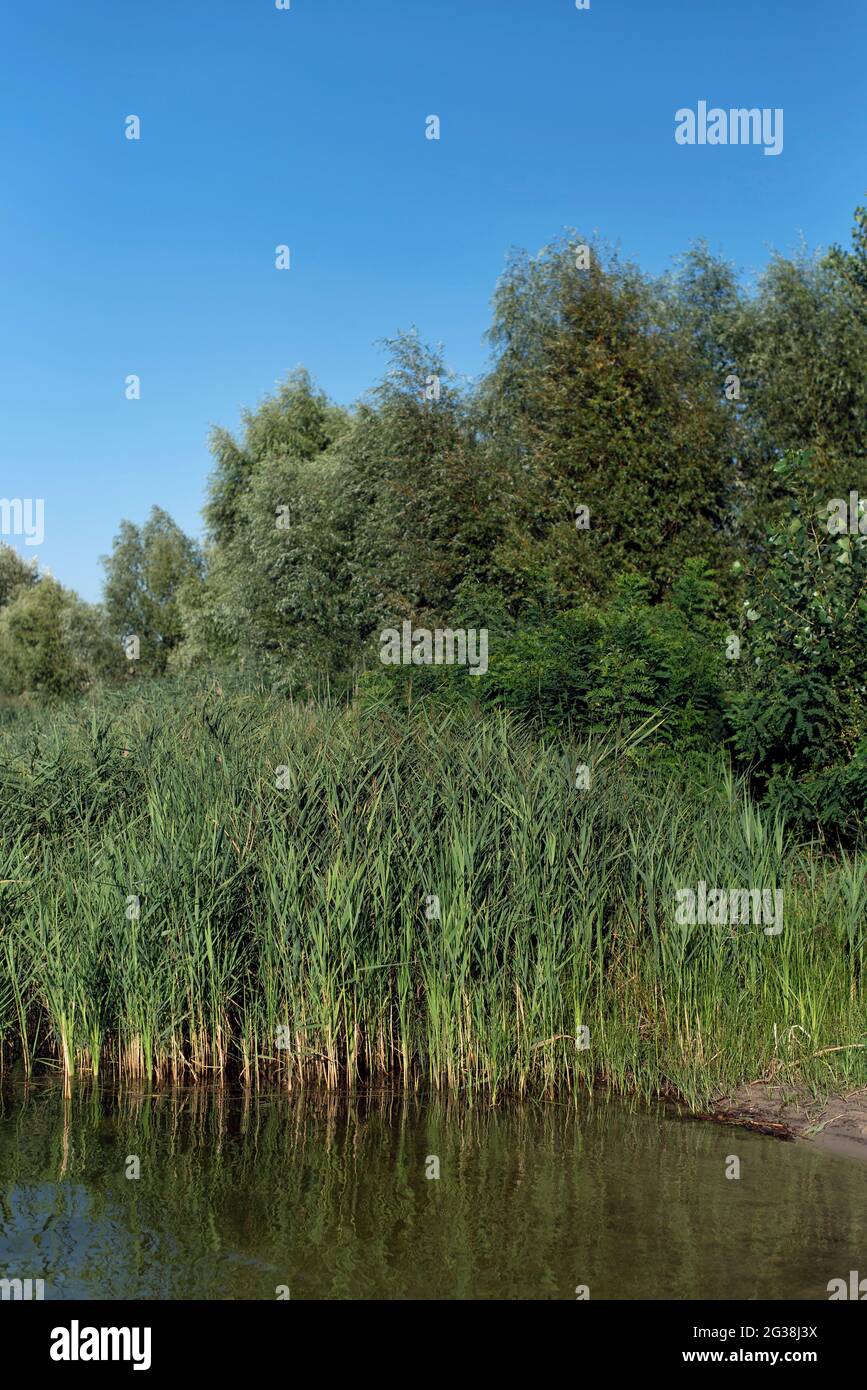 Wild landscapes in Europe Stock Photo - Alamy
