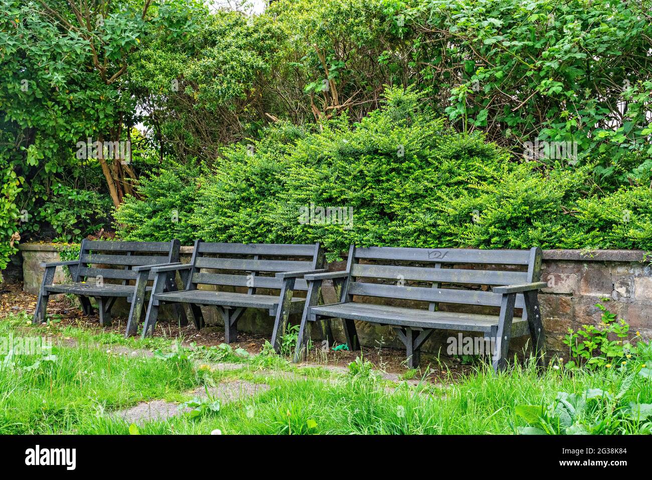 Three wooden bench seats in a row Stock Photo - Alamy