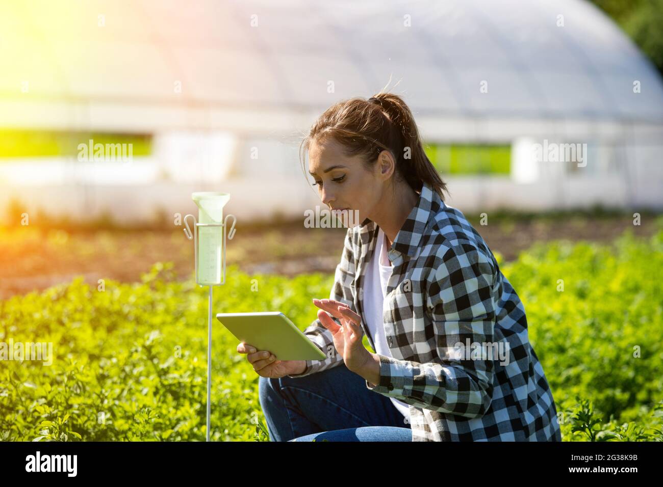 Woman farmer crouching in field using tablet modern technology in ...
