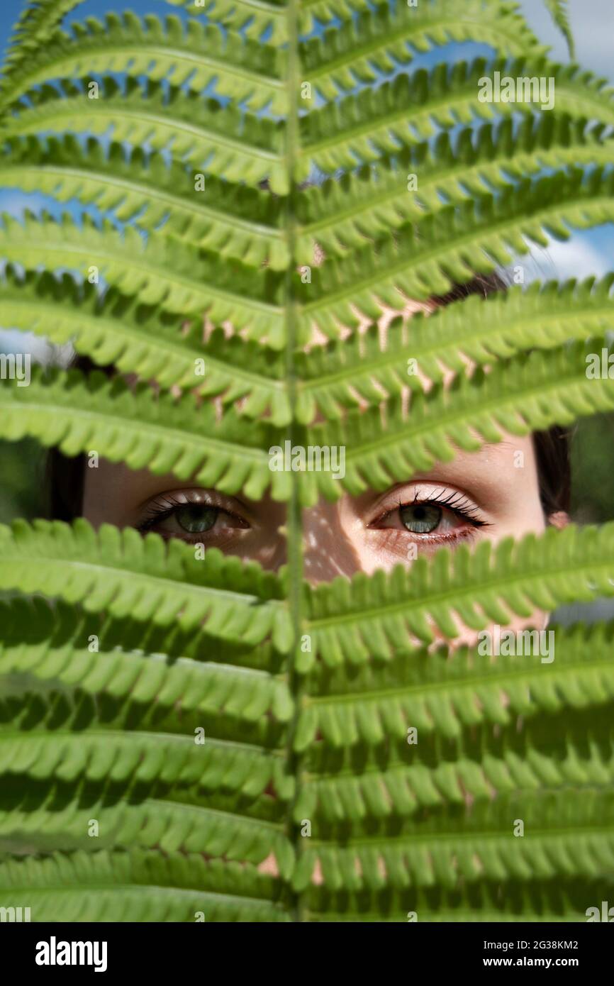 A happy frog looking into the camera Stock Photo - Alamy