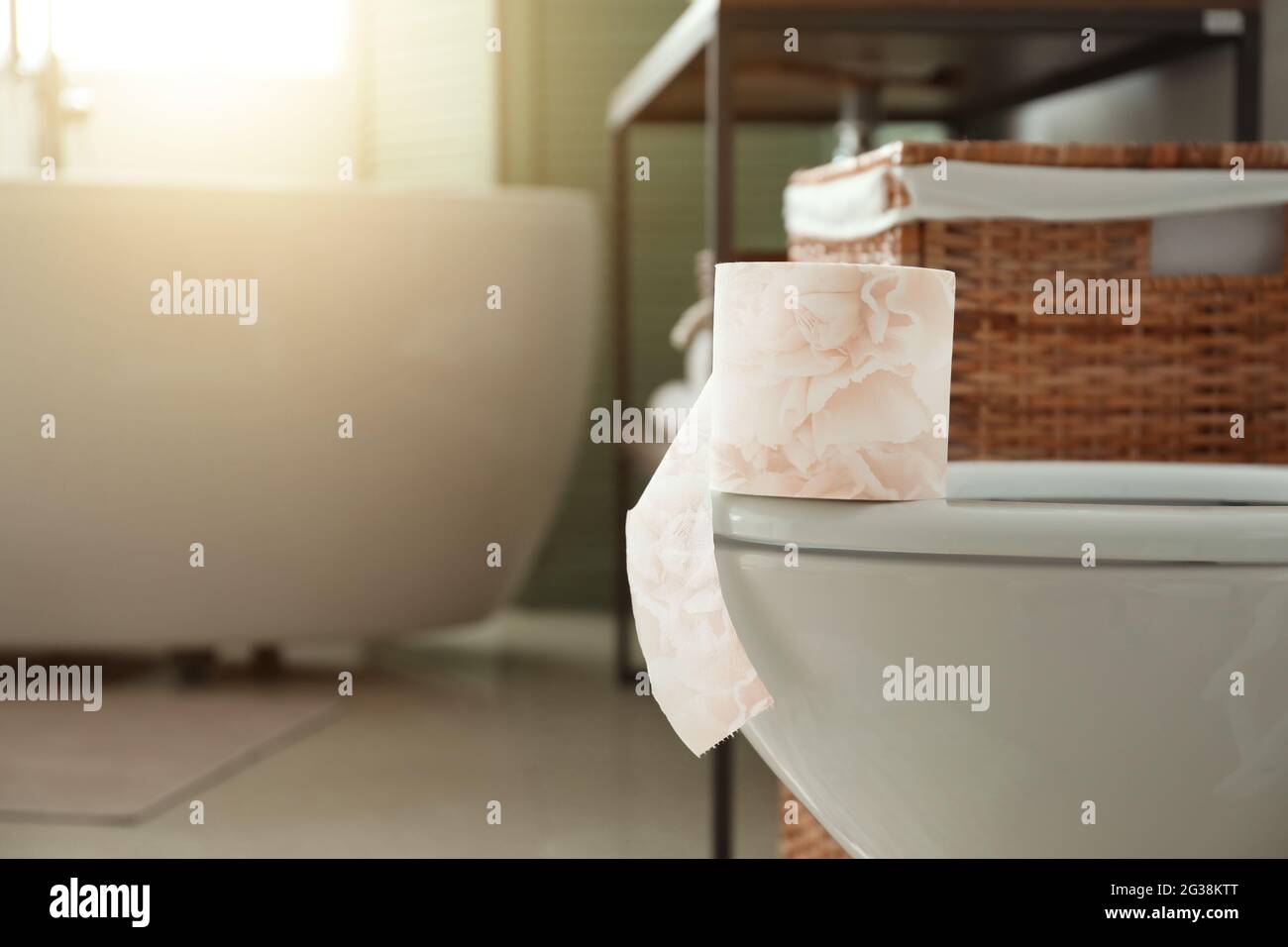 Toilet bowl and roll of paper in restroom Stock Photo - Alamy