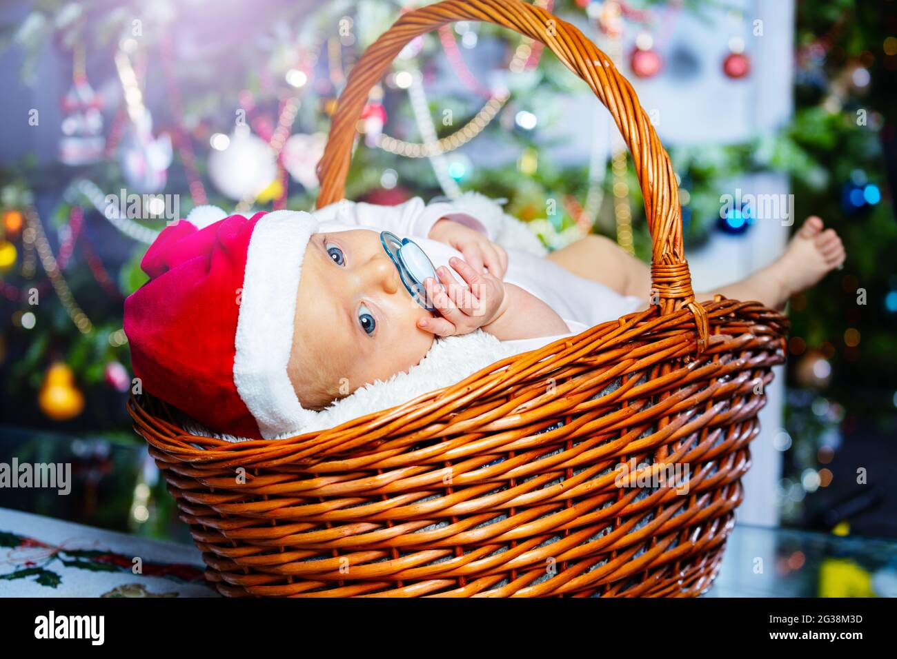 Newborn tree hi-res stock photography and images - Alamy