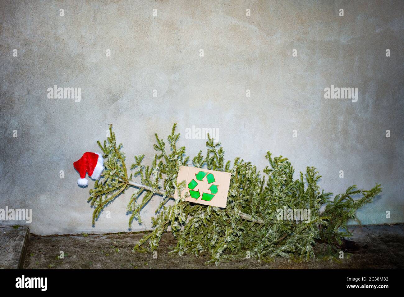 New year tree after celebration recycling concept Stock Photo - Alamy