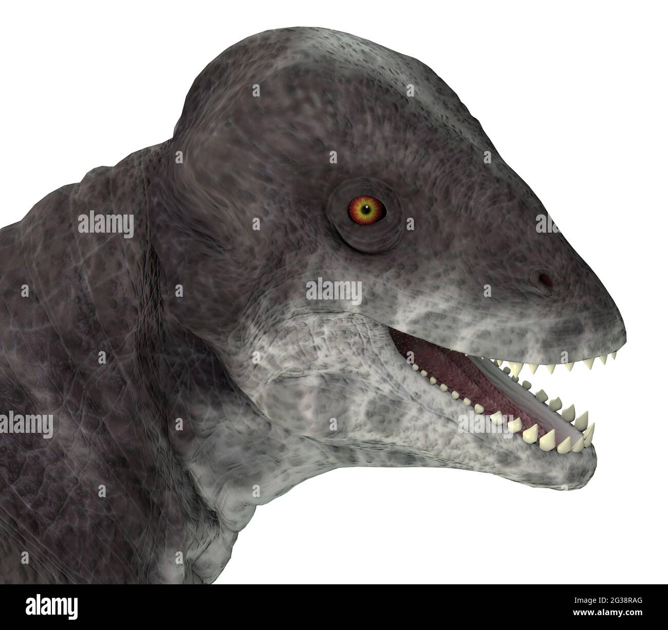 Dinocephalian therapsids hi-res stock photography and images - Alamy