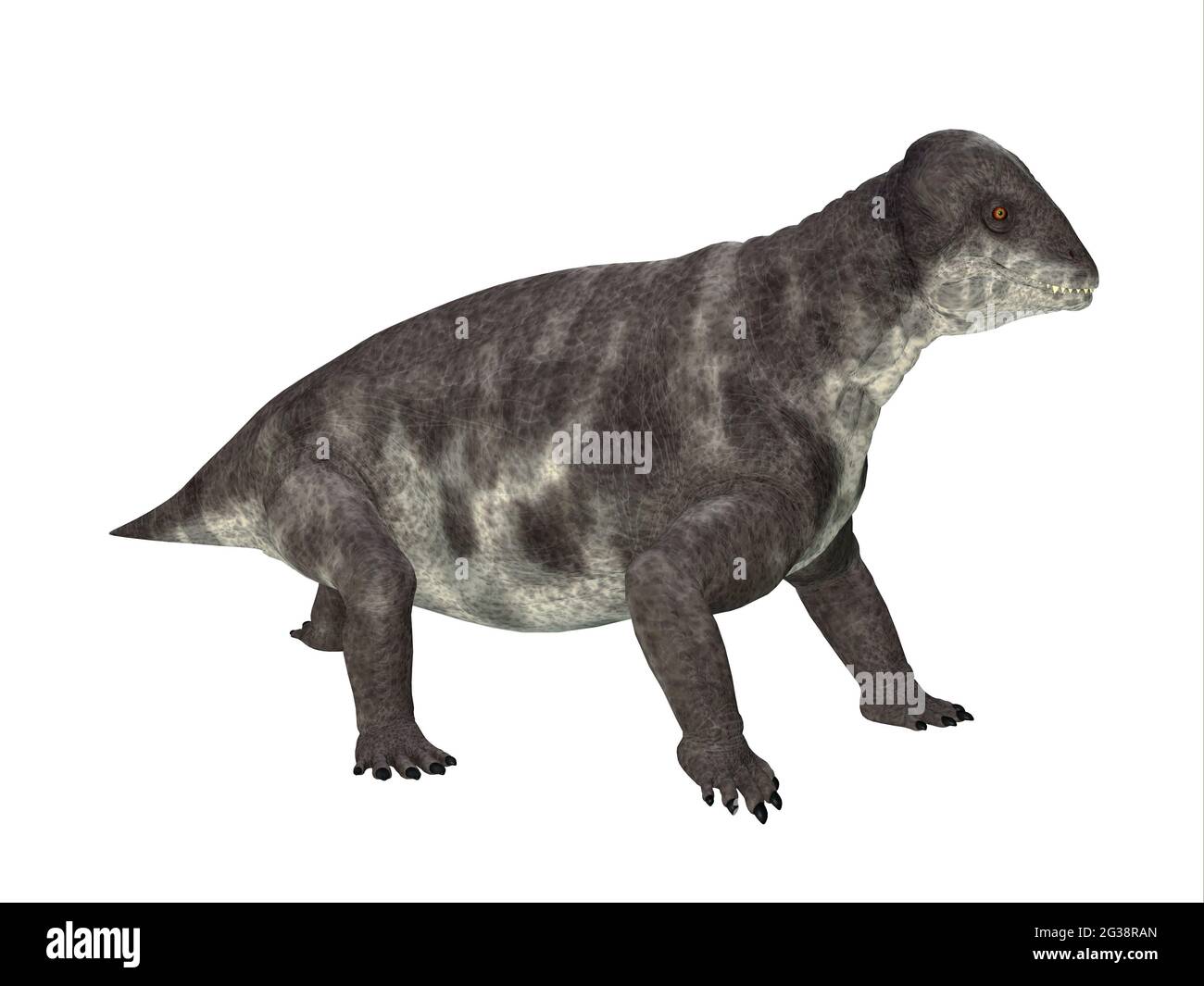 Dinocephalian therapsids hi-res stock photography and images - Alamy