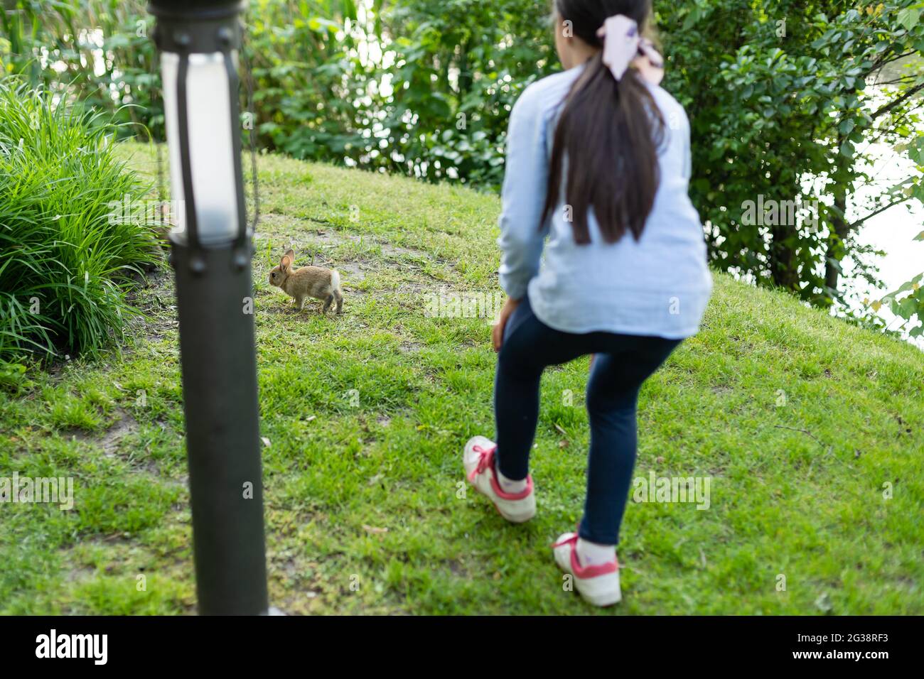 little girl catching a hare, rabbit Stock Photo - Alamy