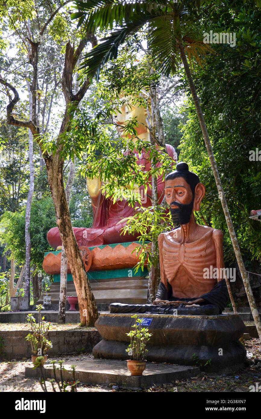 Buddha statues exposed at the Wat Tham Ta Pan temple Stock Photo - Alamy