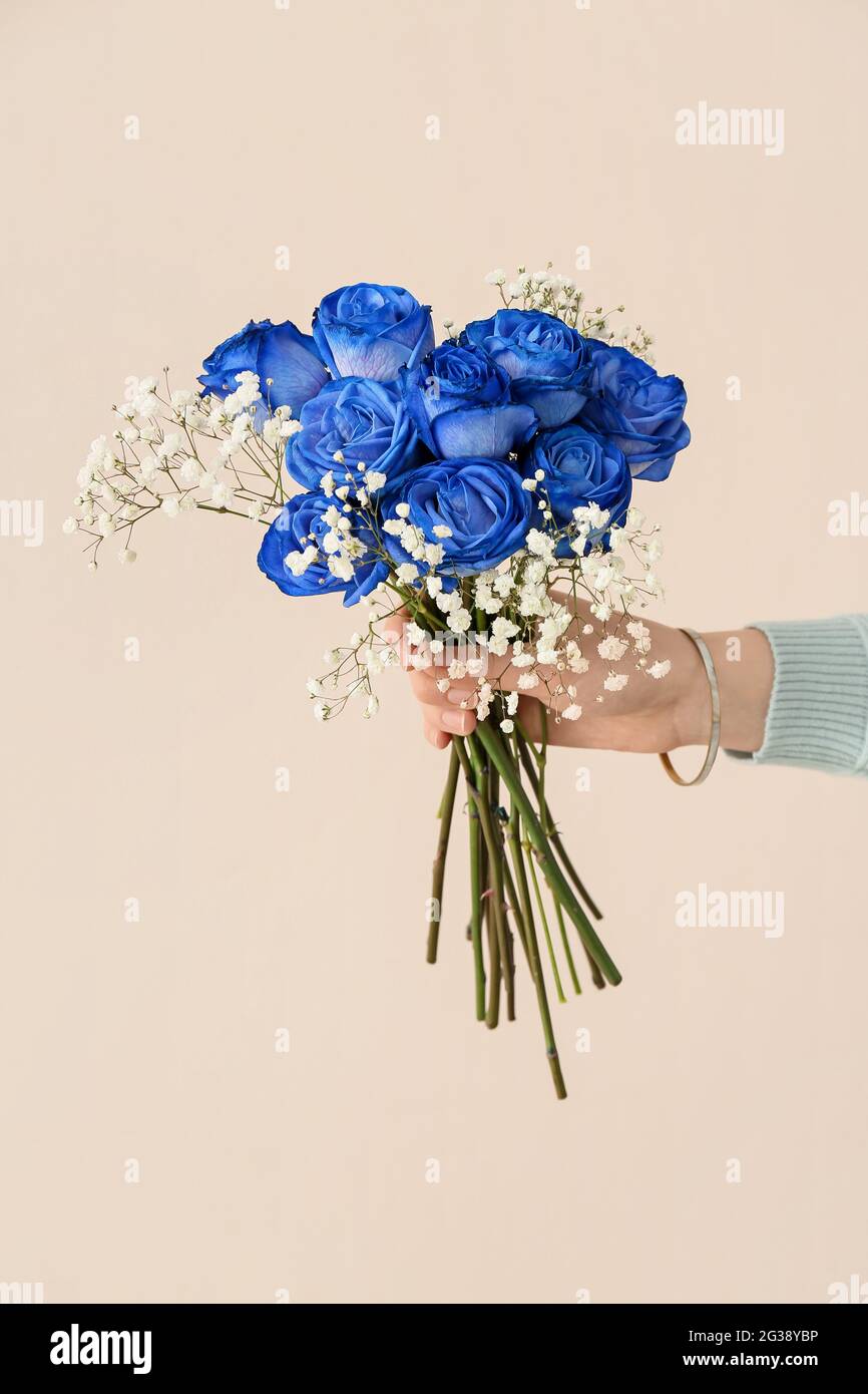 Hand with beautiful blue roses on color background Stock Photo - Alamy