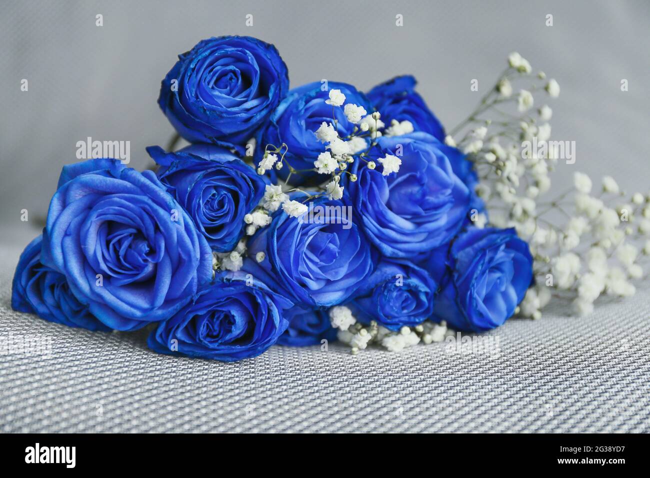 Beautiful blue roses on grey background Stock Photo - Alamy