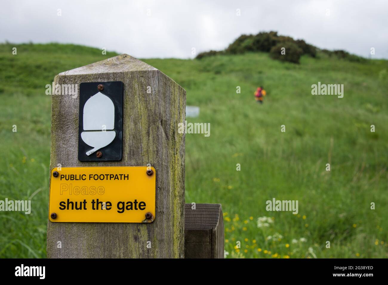 The white acorn, the omnipresent symbol on signposts along Hadrian's ...