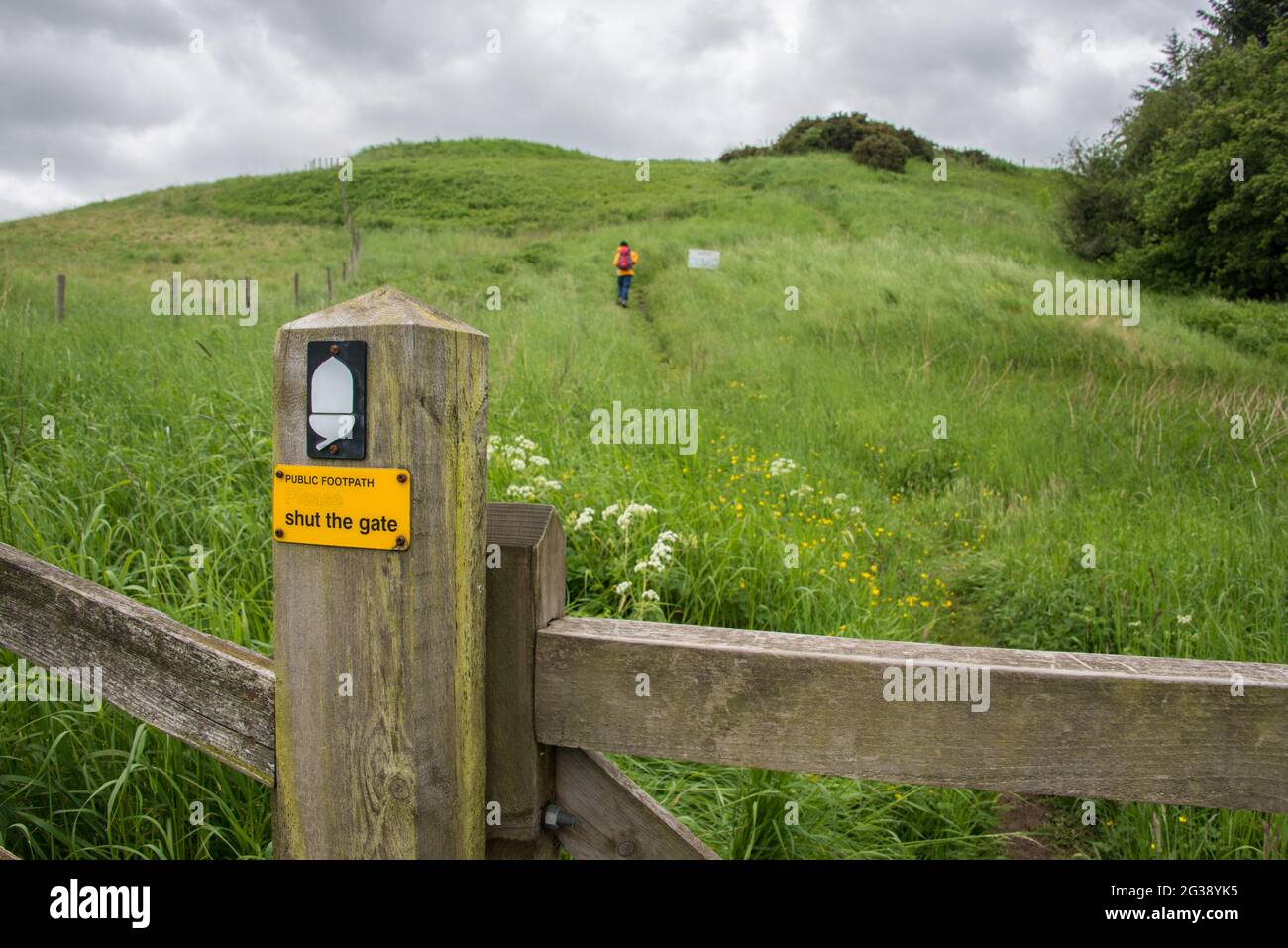 National trail acorn symbol hi-res stock photography and images - Alamy