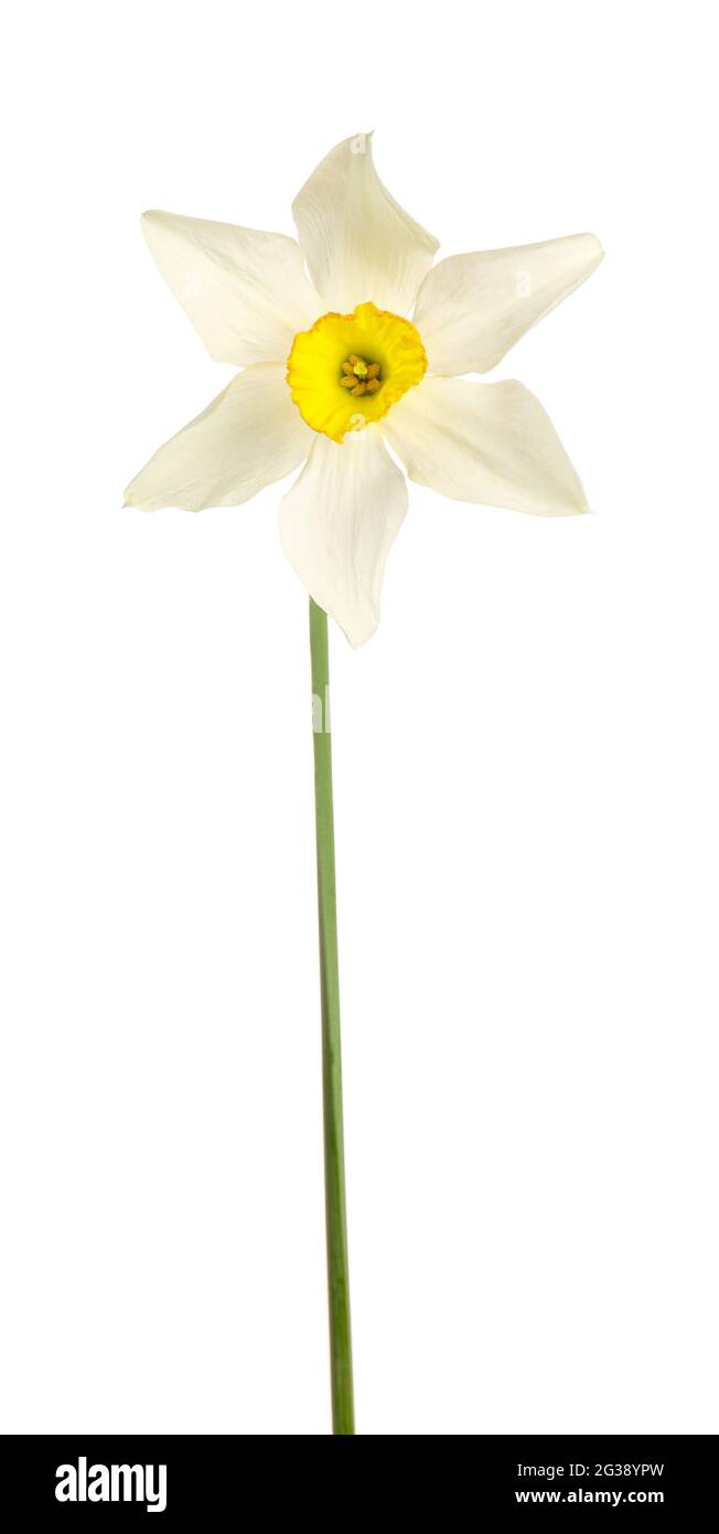 Hello summer beautiful card Cut Out Stock Images & Pictures - Alamy