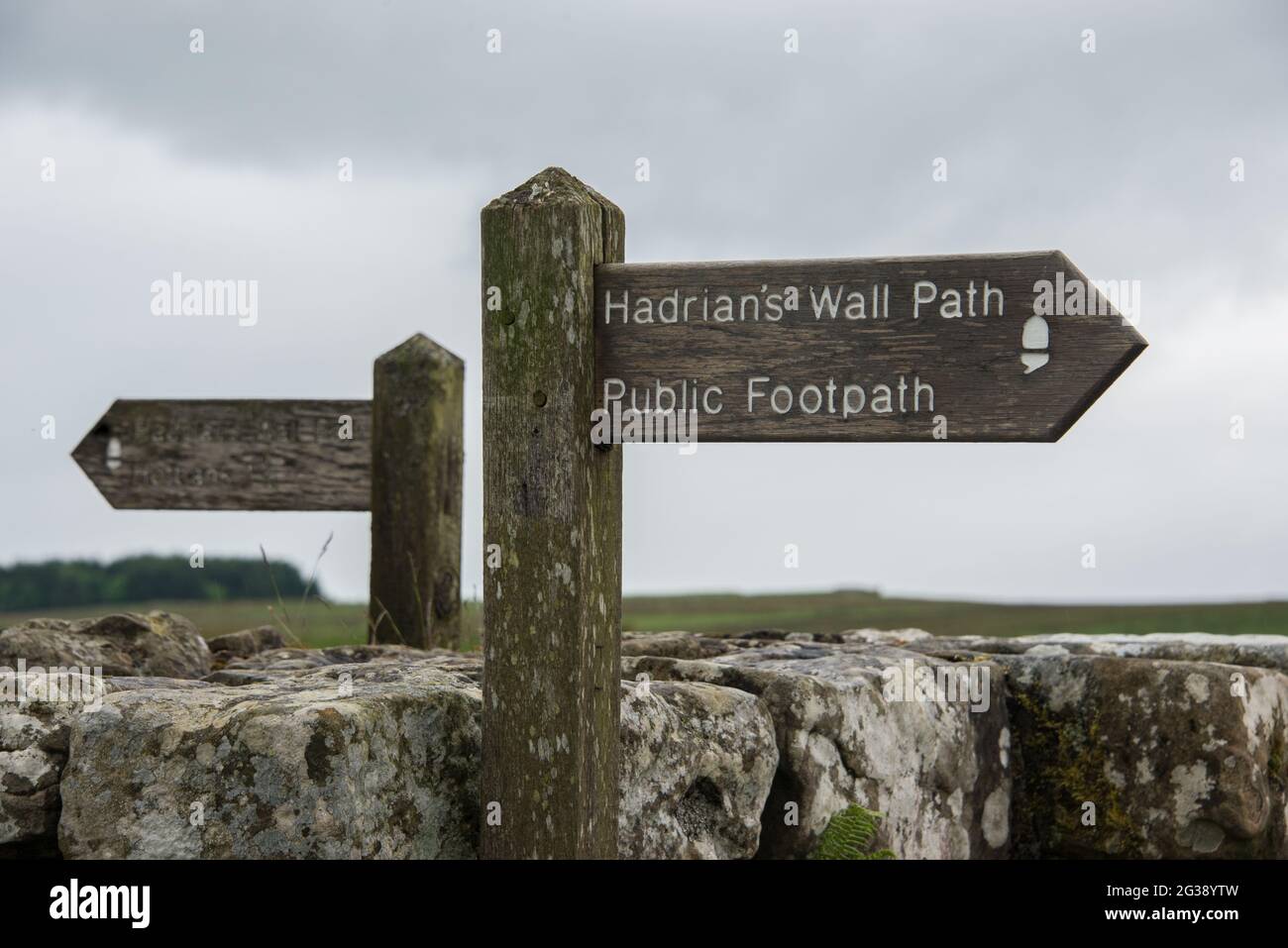 Acorn national trail hi-res stock photography and images - Alamy