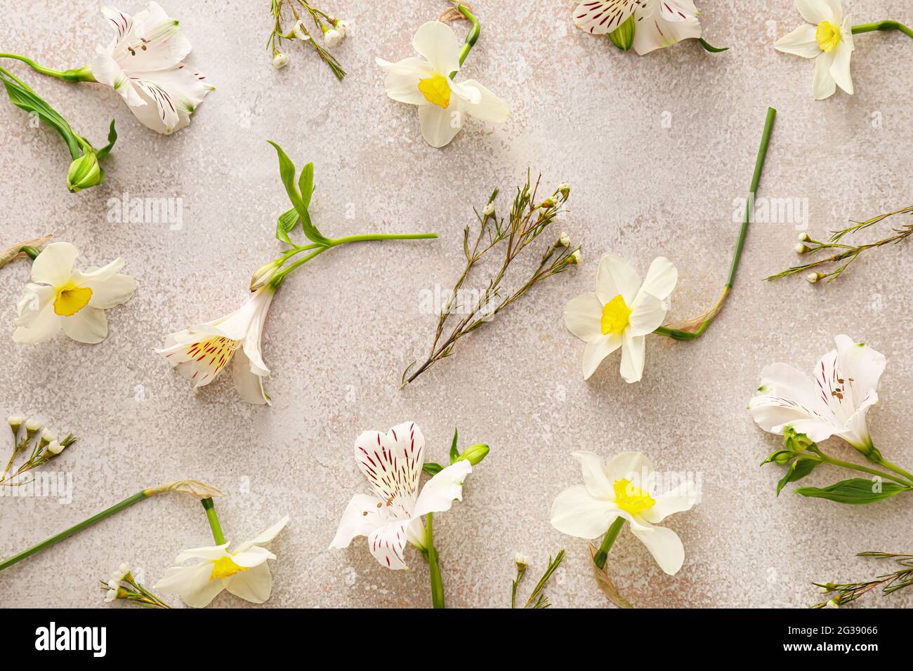 Beautiful flowers on light background Stock Photo - Alamy