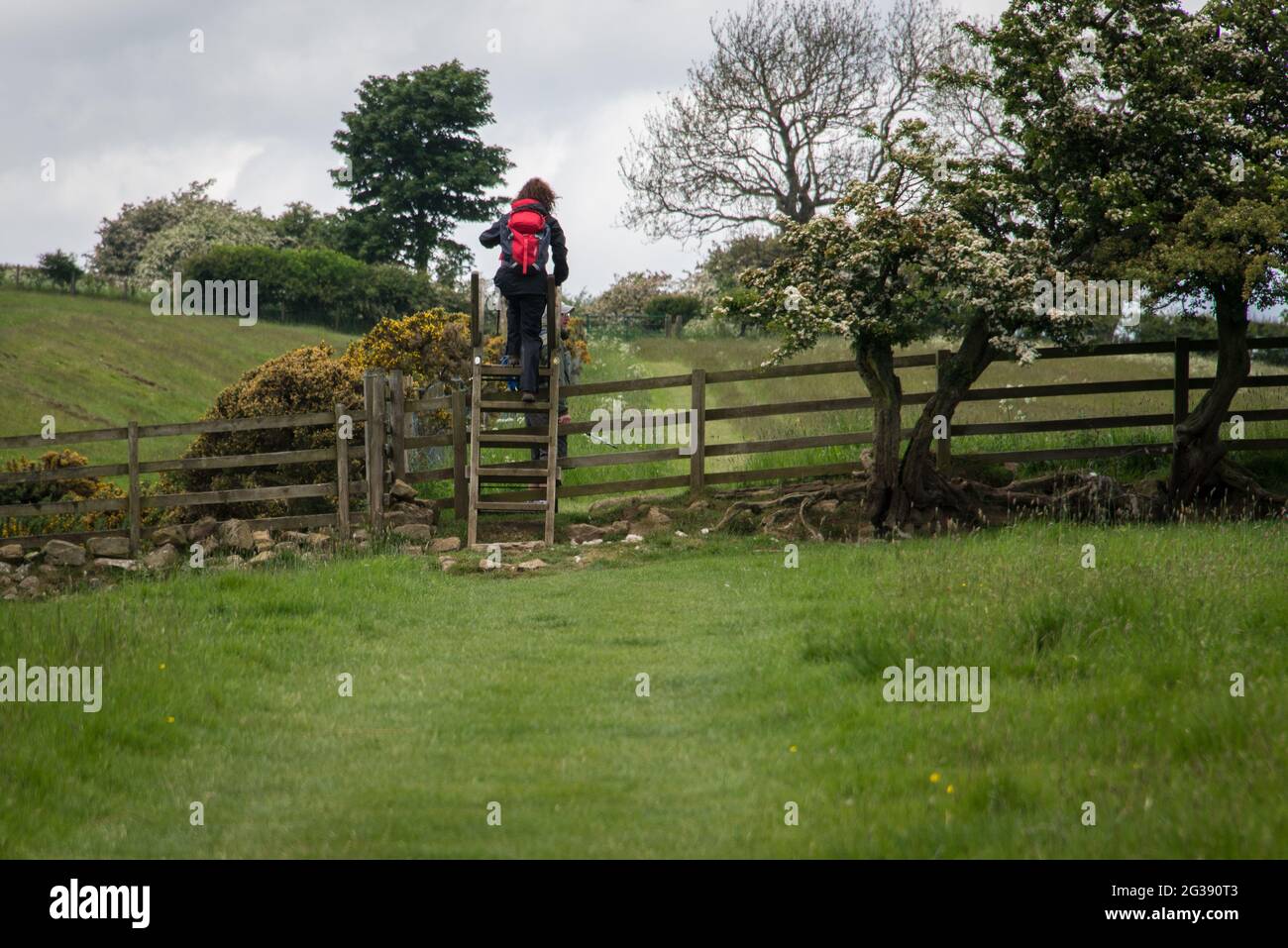 Ladder stiles hi-res stock photography and images - Alamy