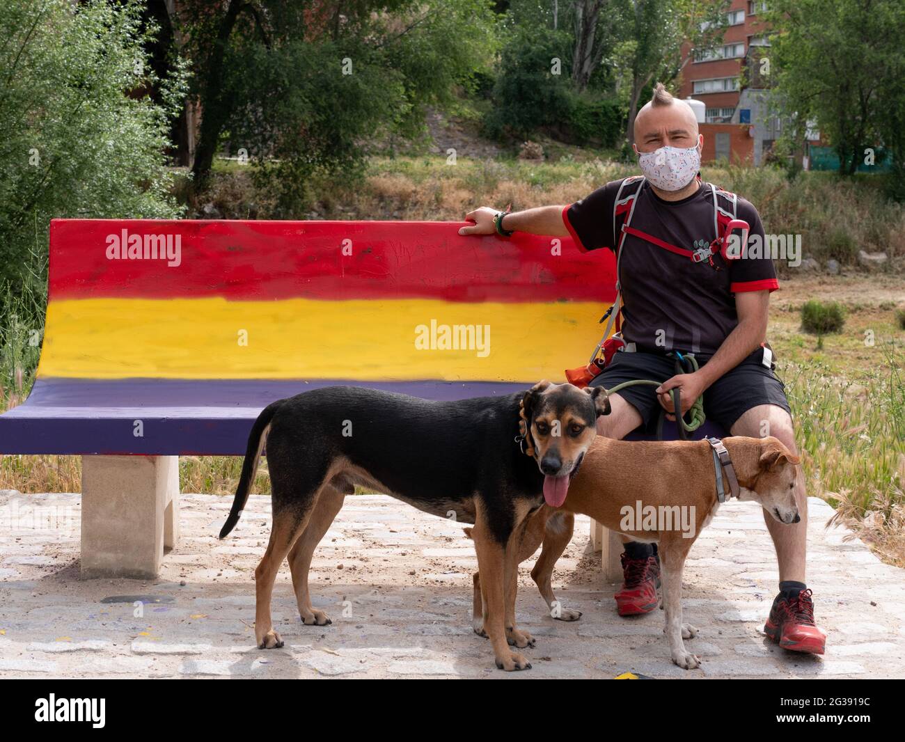 Young Spanish male in a medical mask sitting on the bench with his dogs ...