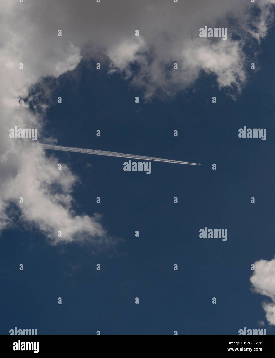 Southwest airlines flight attendant hi-res stock photography and images ...