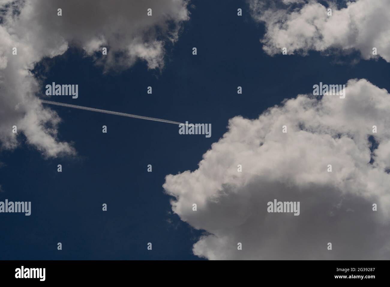 Southwest airlines flight attendant hi-res stock photography and images ...