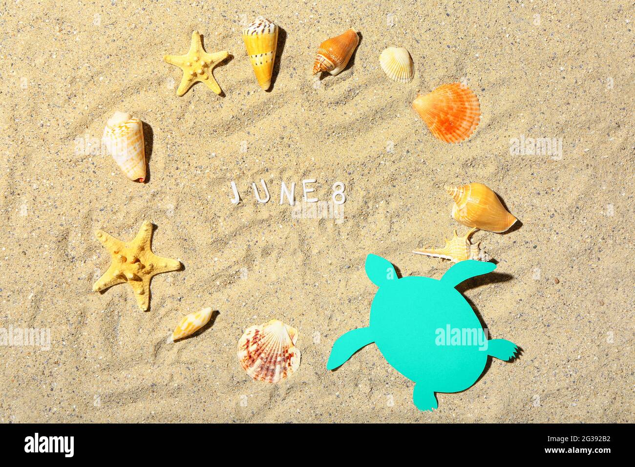Date of World Ocean Day with sea shells on beach sand Stock Photo - Alamy