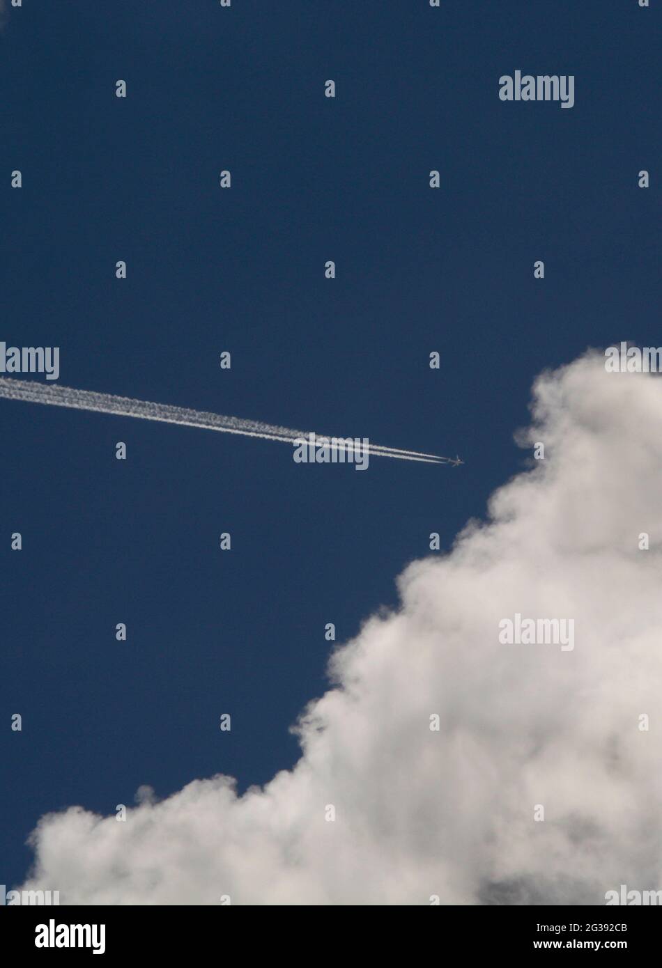 Southwest airlines flight attendants hi-res stock photography and ...