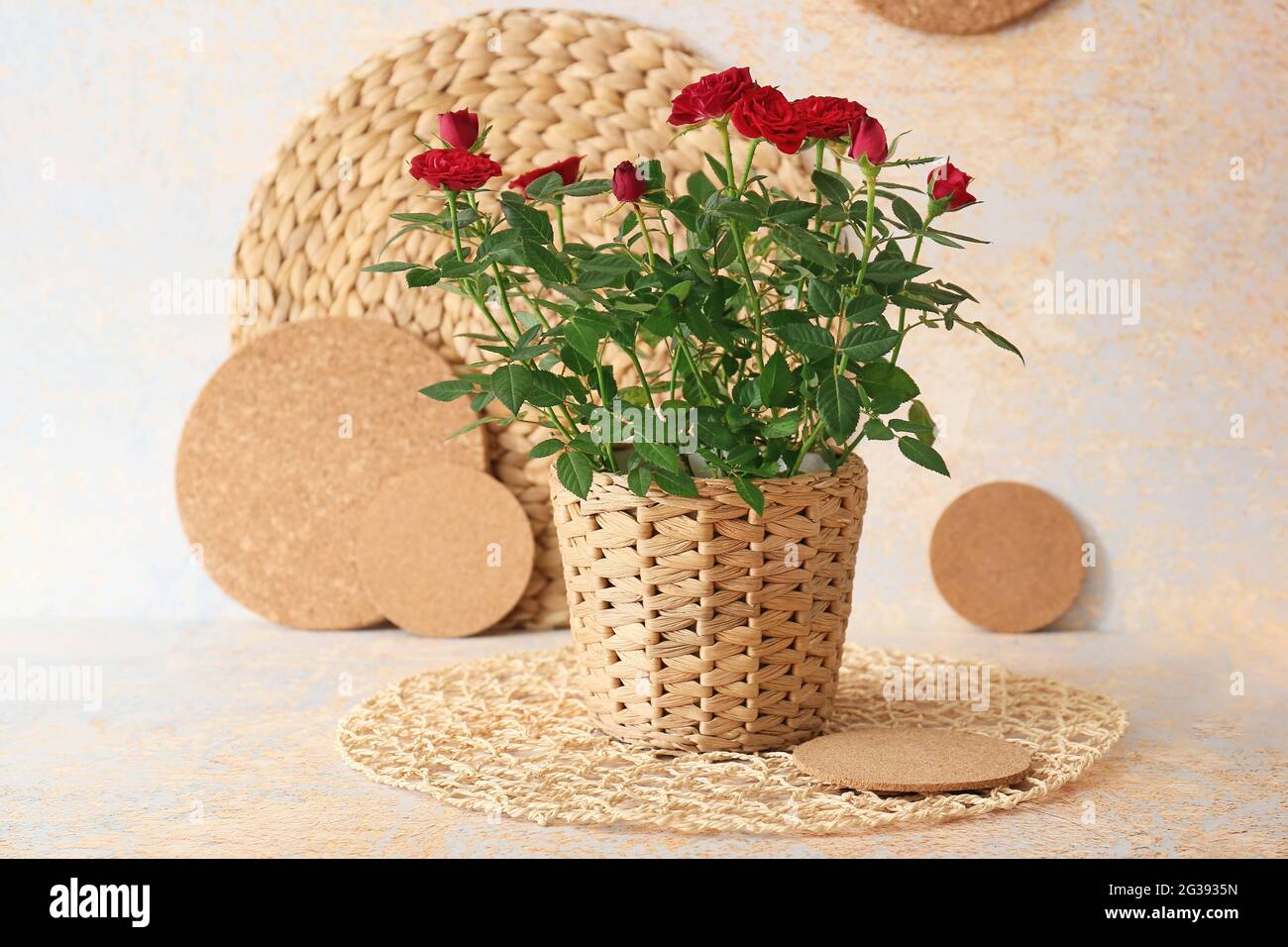 Beautiful red roses in pot and decor on light background Stock Photo ...