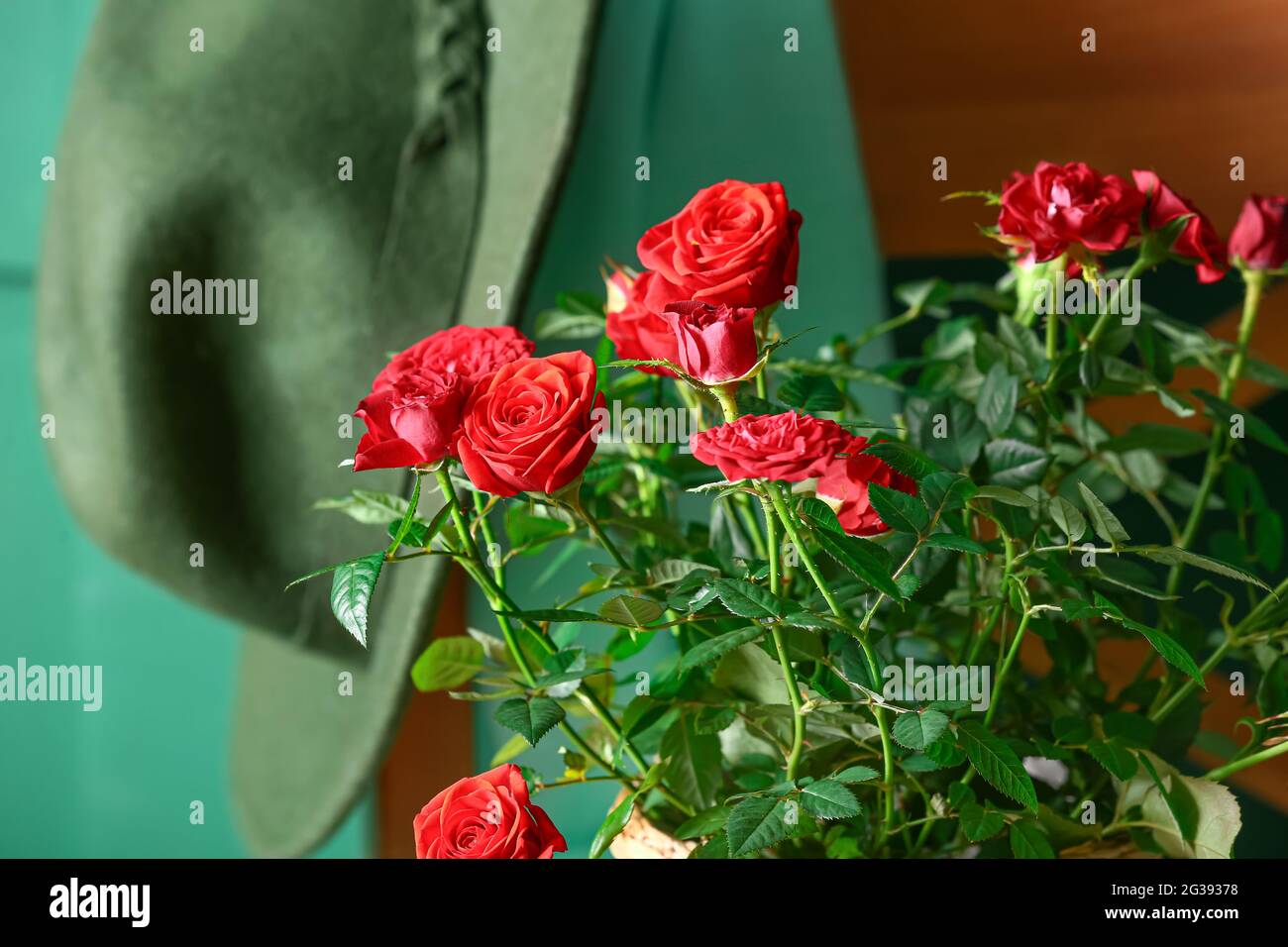 Beautiful red roses in pot on chair, closeup Stock Photo - Alamy