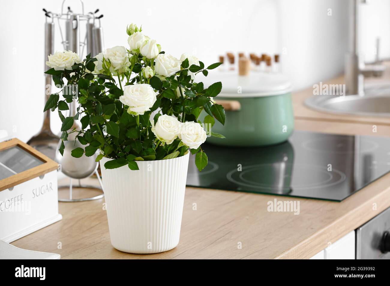 Beautiful white roses in pot on kitchen counter Stock Photo - Alamy