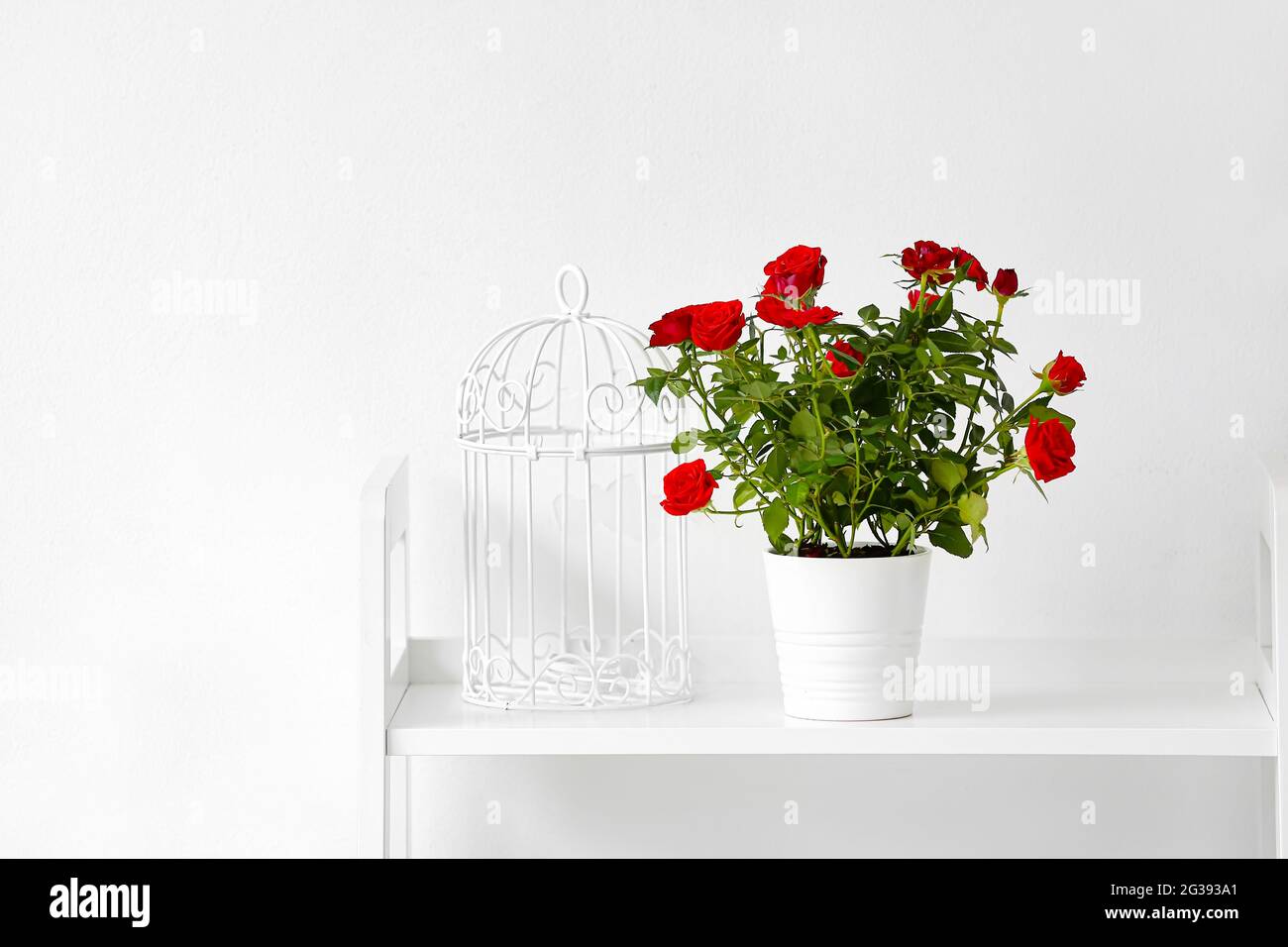 Beautiful red roses in pot on shelf near light wall Stock Photo - Alamy