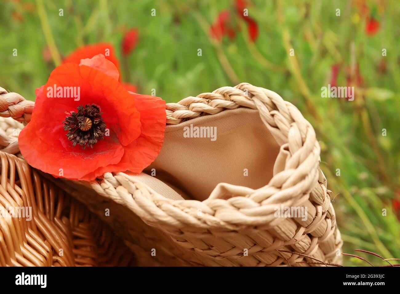 Wicker basket with beautiful poppy flower in field, closeup Stock Photo ...