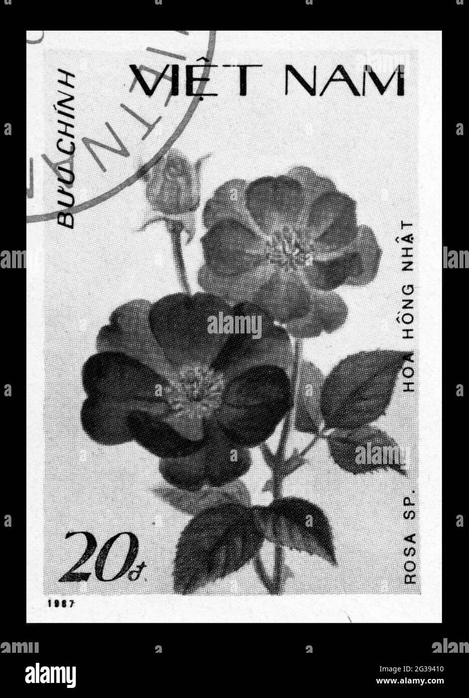 Rose postage stamp vietnam hi-res stock photography and images - Alamy