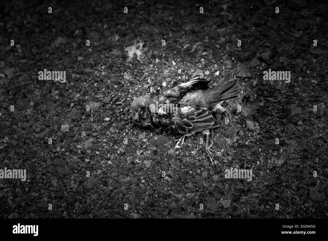 Corpse road Black and White Stock Photos & Images - Alamy