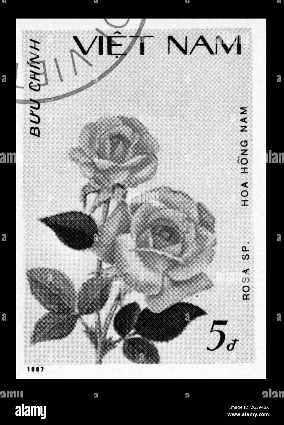 Rose postage stamp vietnam hi-res stock photography and images - Alamy