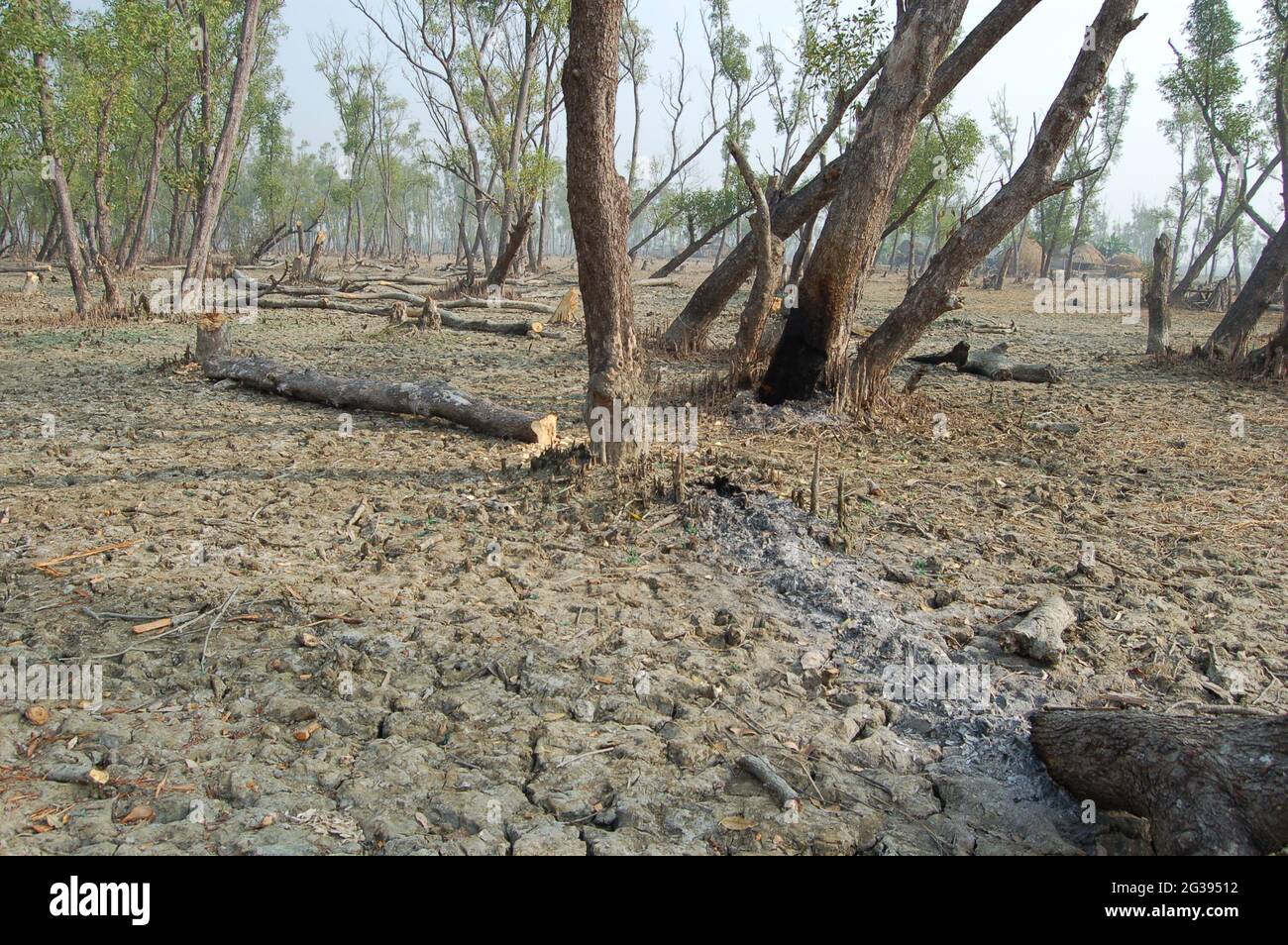 Nijhum island hi-res stock photography and images - Alamy