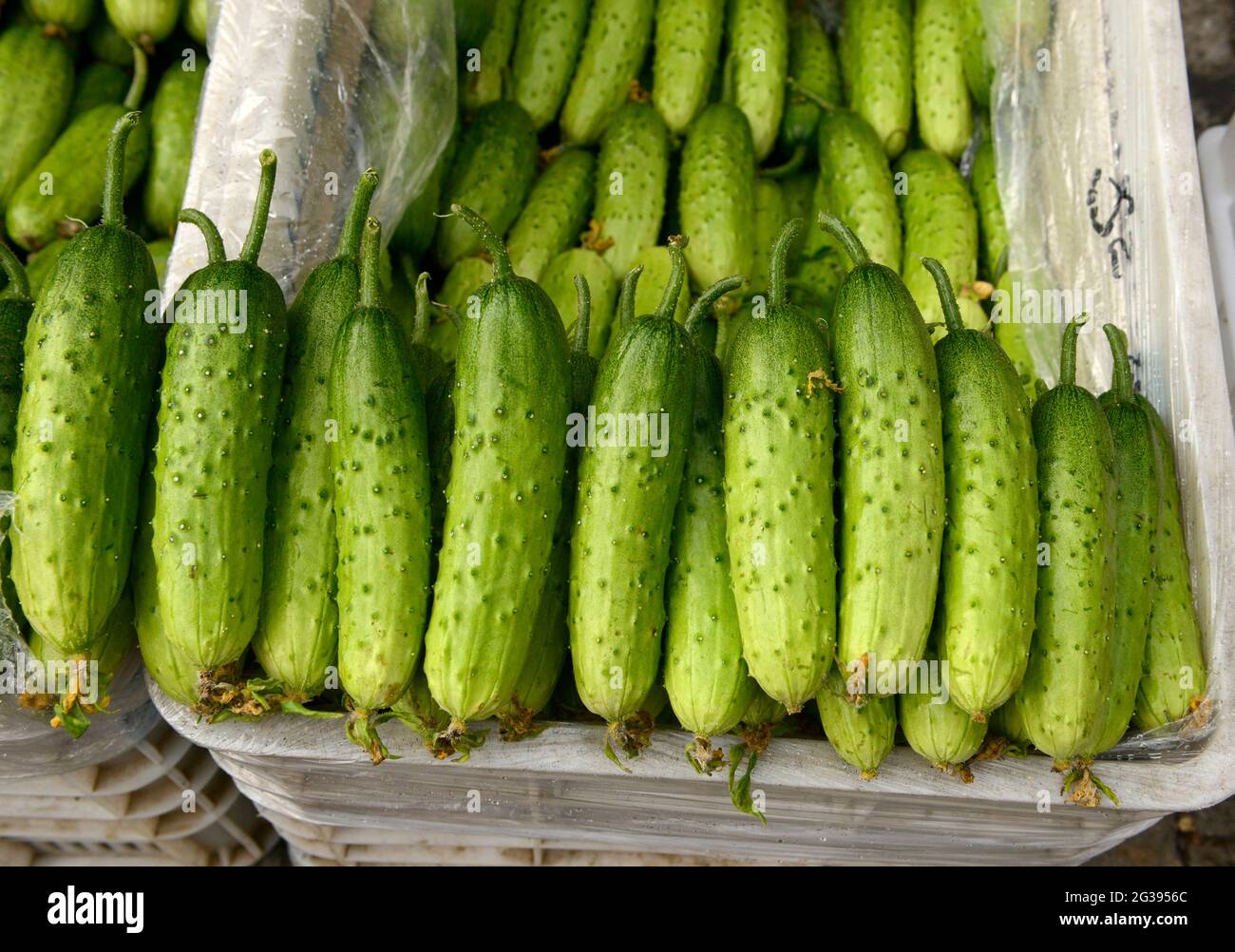 Knobbly vegetables hi-res stock photography and images - Alamy