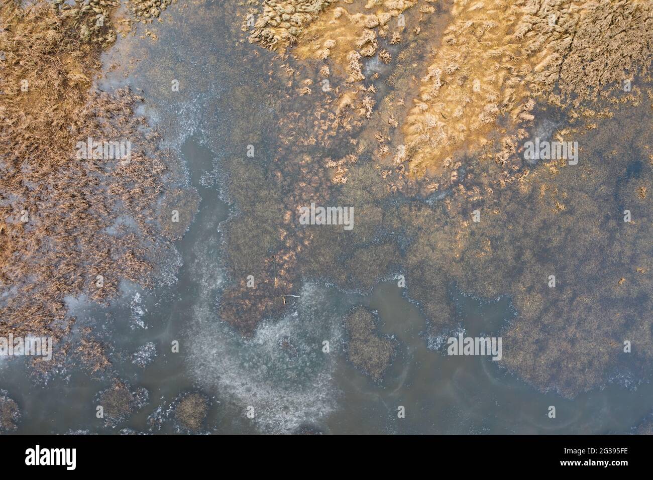 Natural background created by structure of marsh from directly above ...