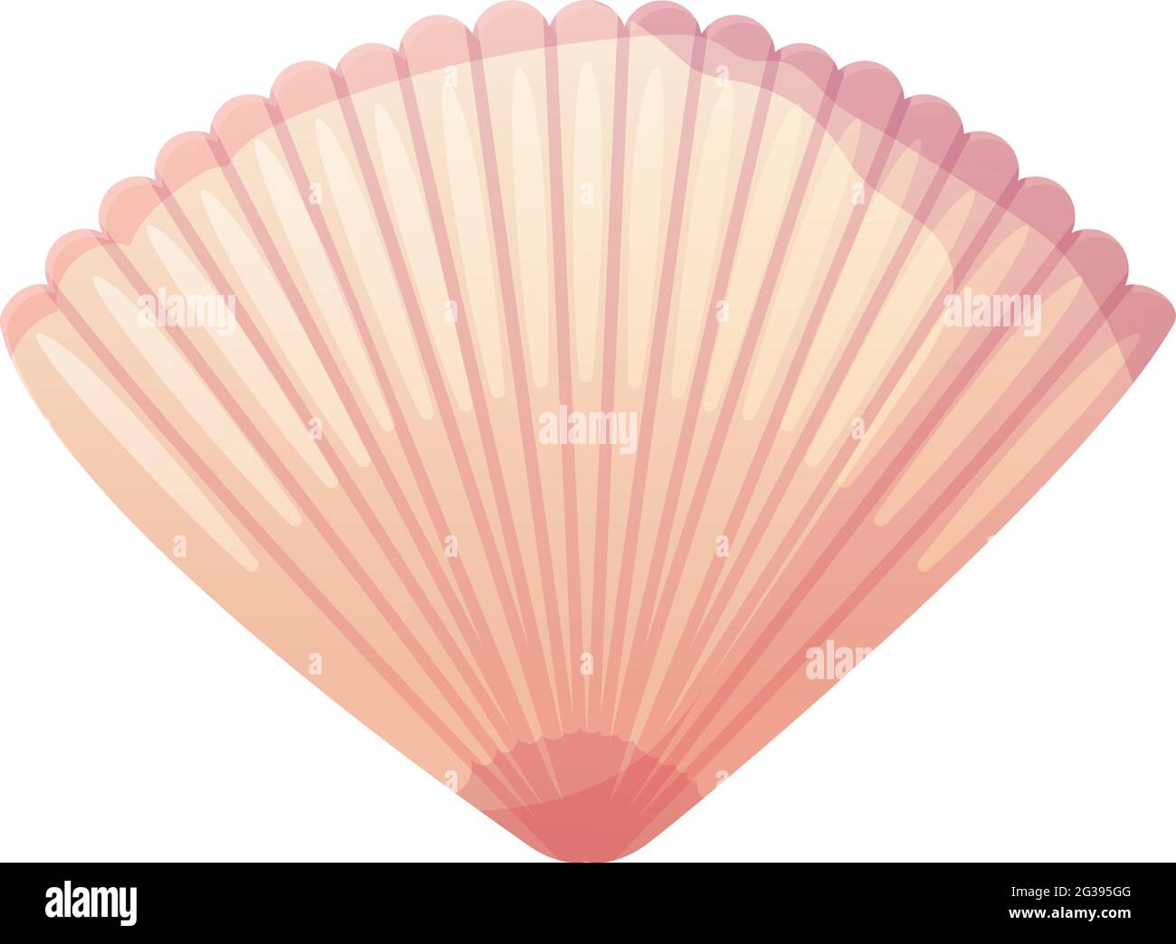 Pink scallop seashell. Beach clipart,ocean element concept. Stock ...