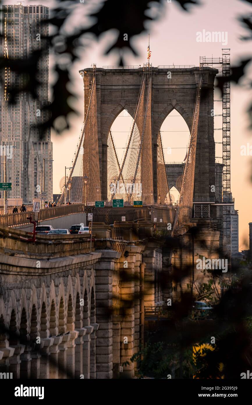 New York City - USA - Nov 4 2020: Beautiful Foliage Colors of Brooklyn ...