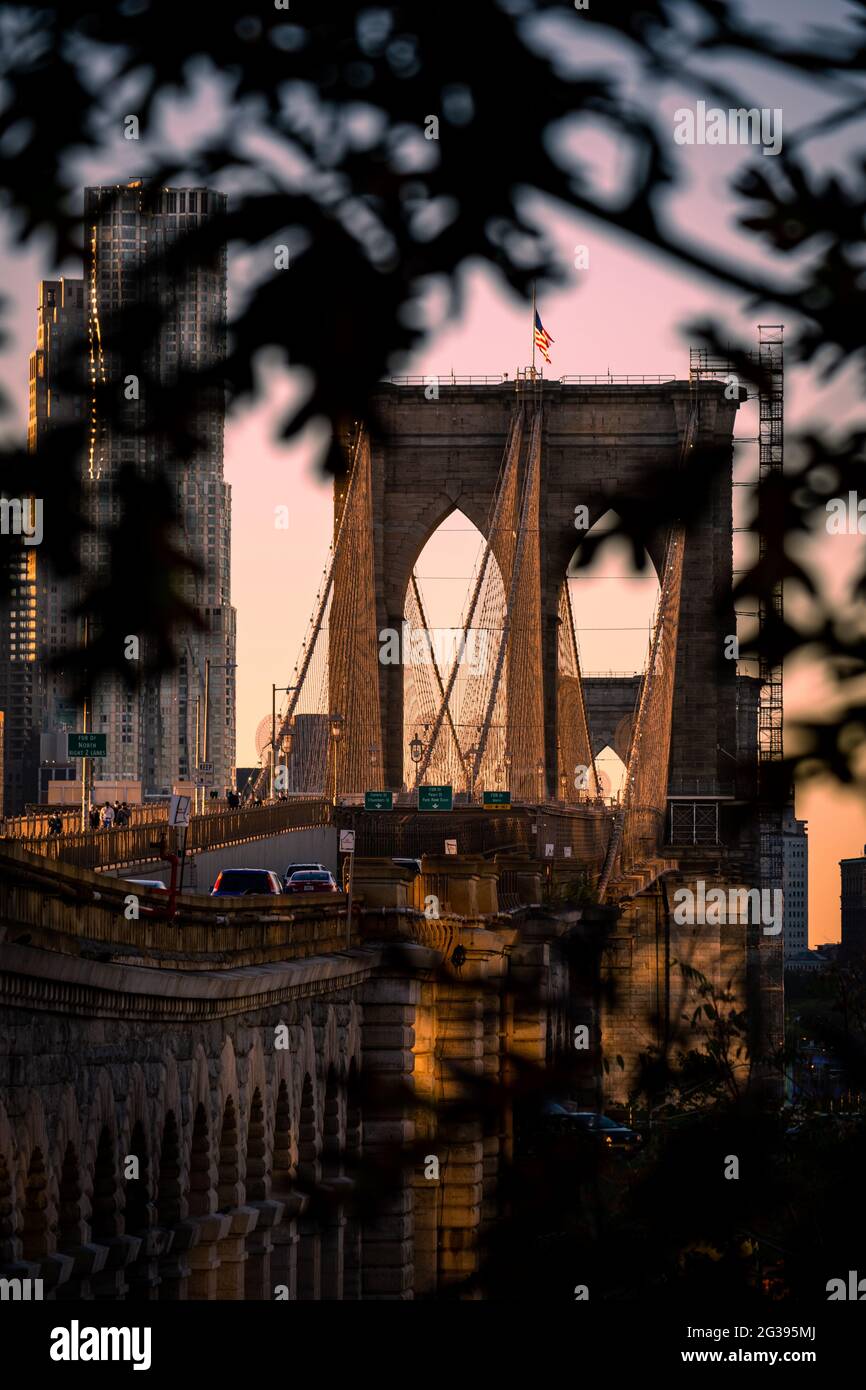 New York City - USA - Nov 4 2020: Beautiful Foliage Colors of Brooklyn ...