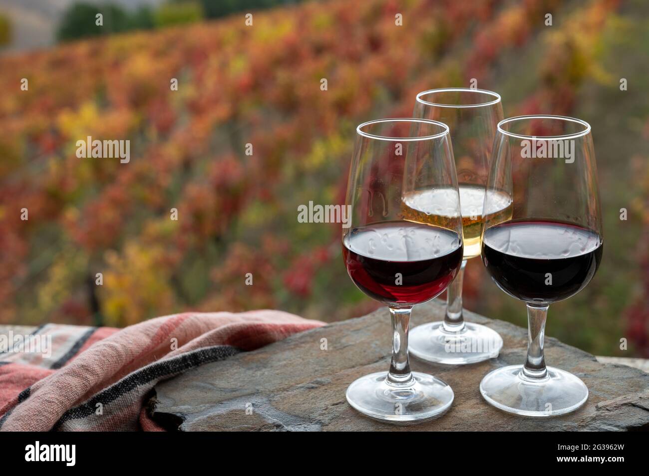 Tasting of Portuguese fortified dessert and dry port wine, produced in ...