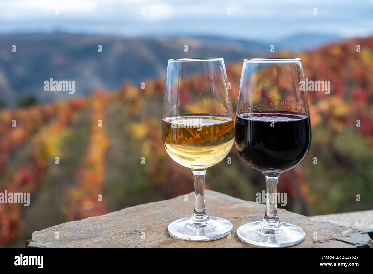 Tasting of Portuguese fortified dessert and dry port wine, produced in ...