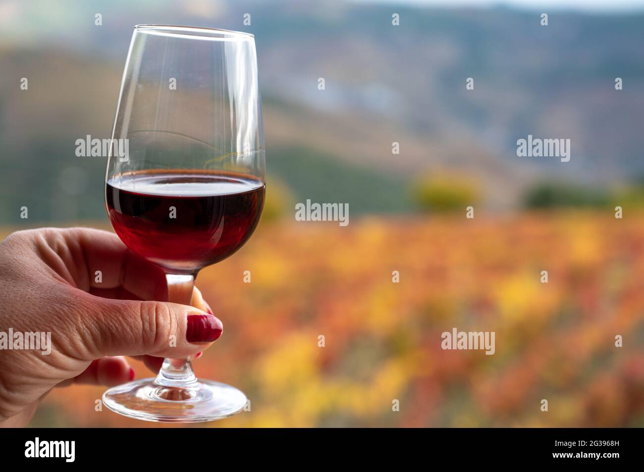 Tasting of Portuguese fortified dessert and dry port wine, produced in ...
