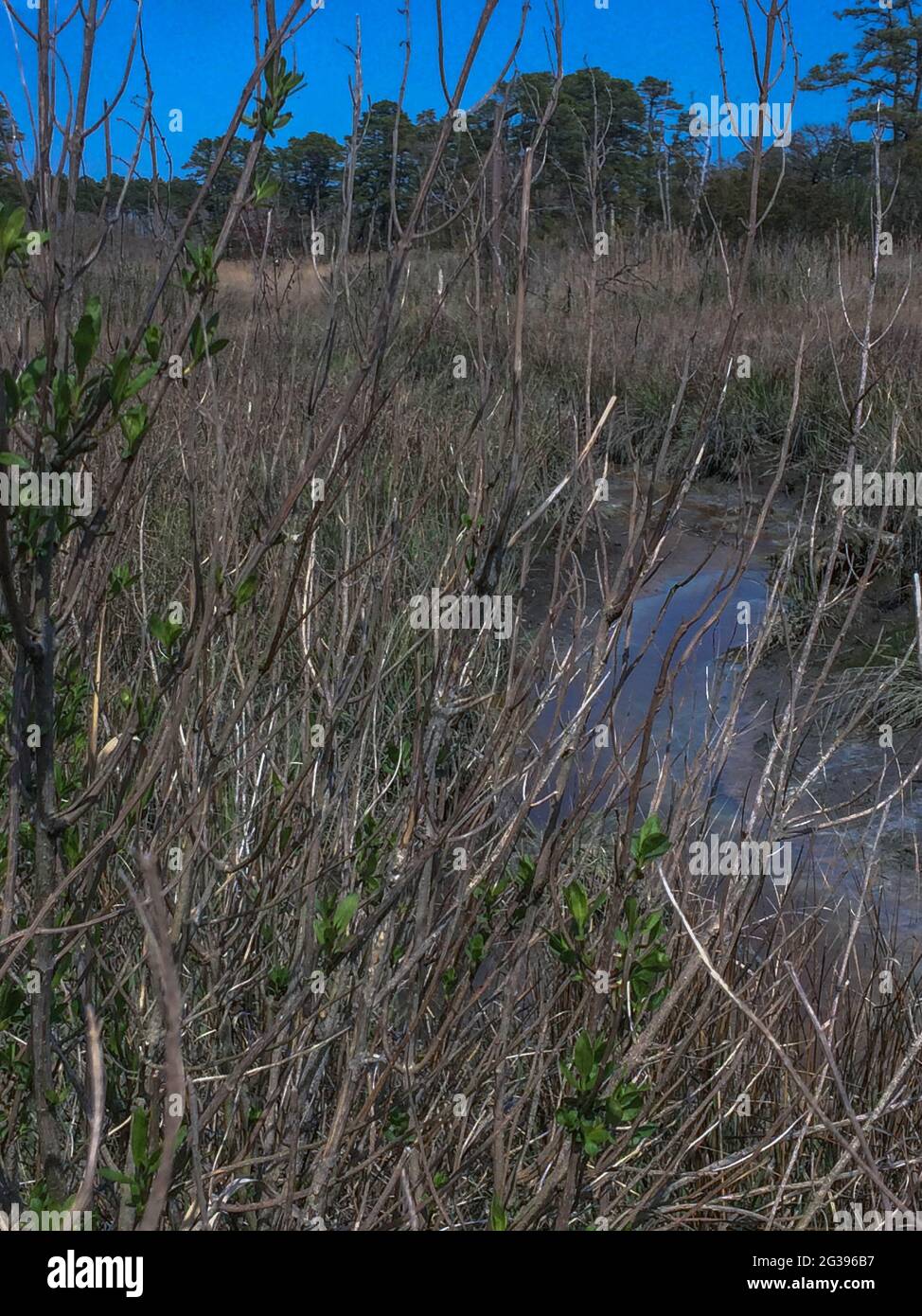 Lewes wetlands hi-res stock photography and images - Alamy