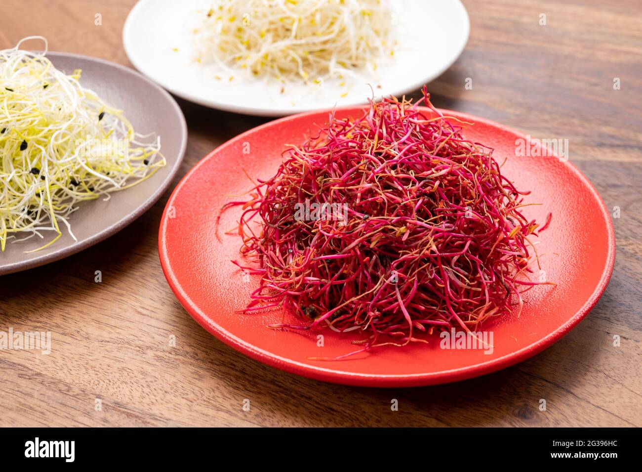 Healthy food, young sprouts plants of red beet ready for consumption ...