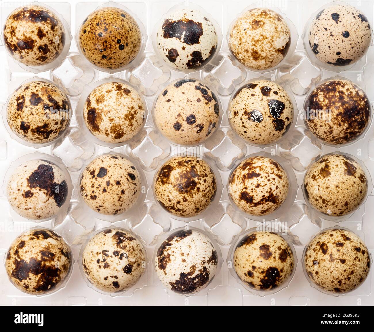 Fresh small spotted partridge eggs in tranparent plastic container ...