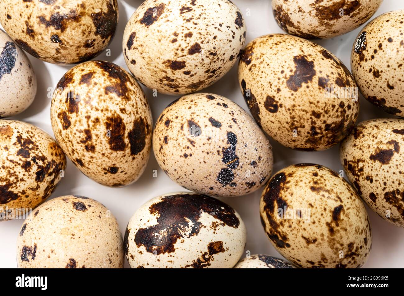 Fresh small spotted partridge eggs on white board close up Stock Photo ...
