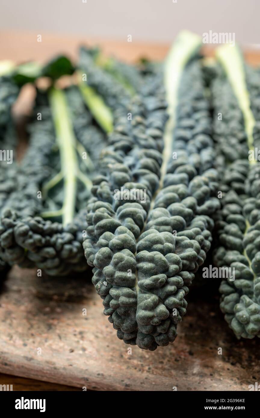 Vegetarian cooking with black flat leaves of cavolo nero tuscan cabbage ...